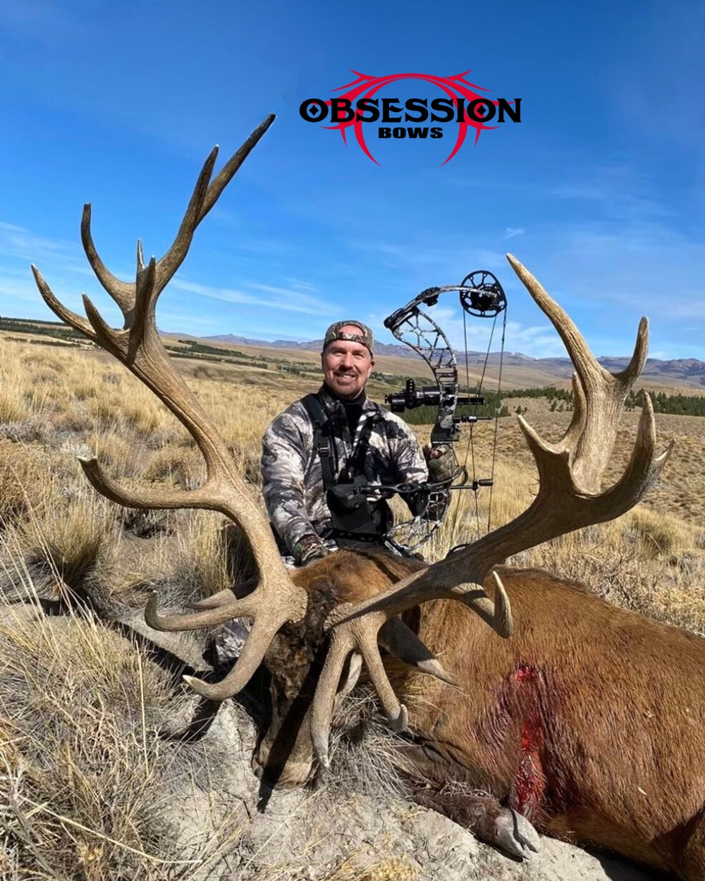 Gallery – Obsession Bows